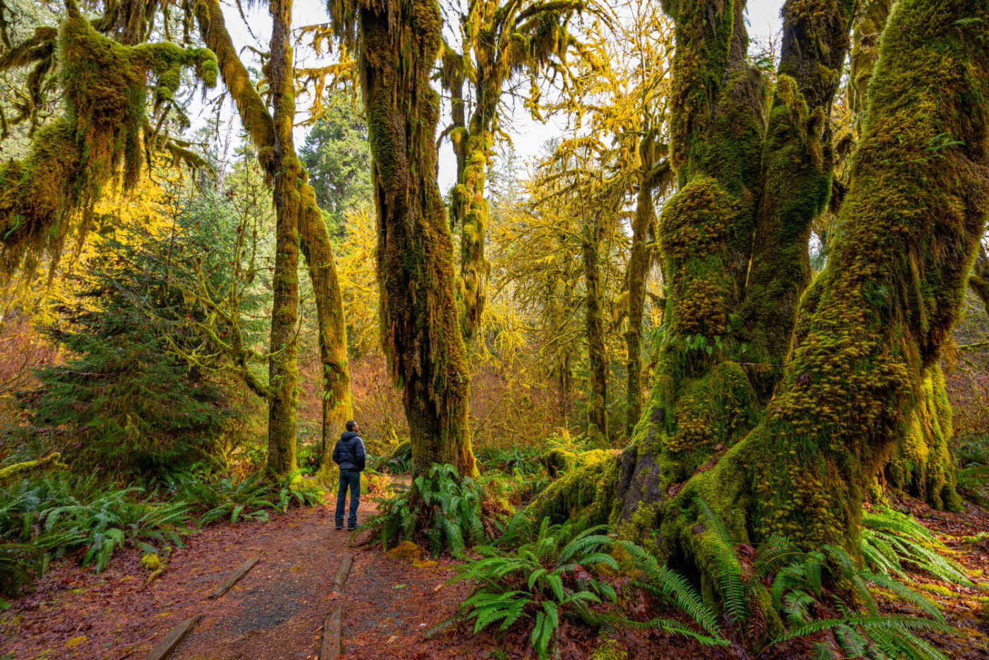 The 21 Most Beautiful Places To Go Camping In Washington