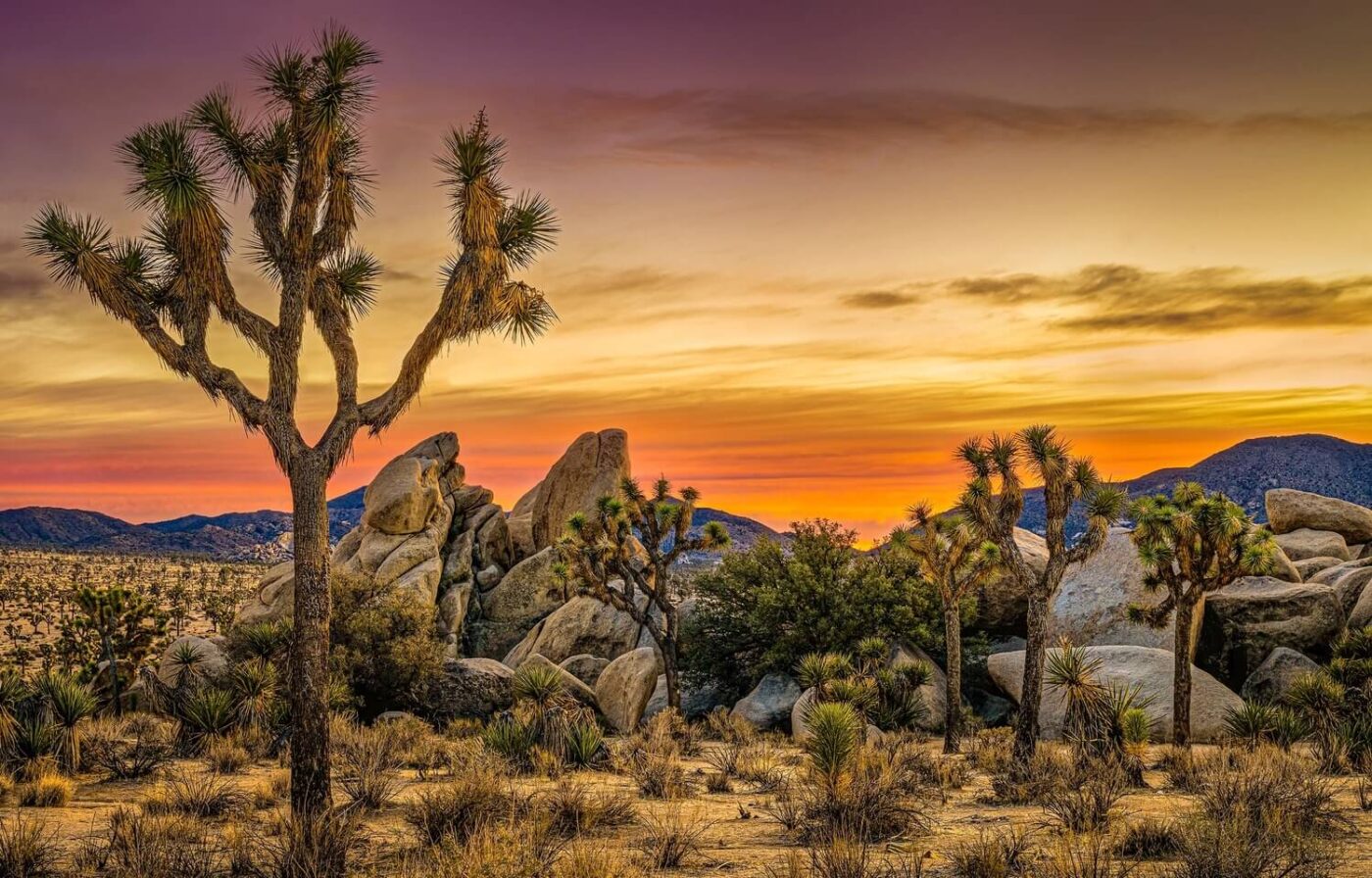 The 20 Most Beautiful Places To Go Camping In California