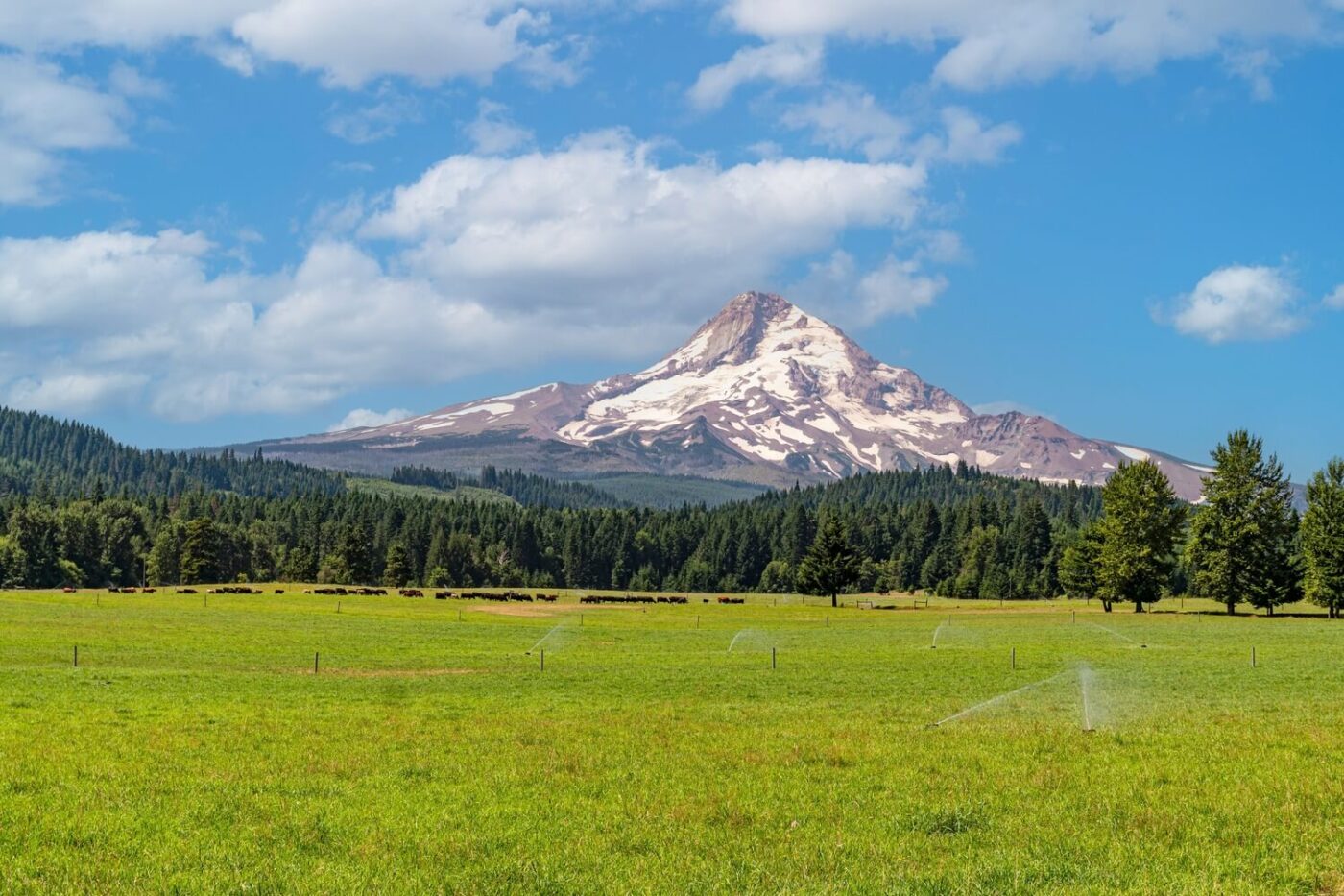 The 17 Most Beautiful Places To Go Camping In Oregon
