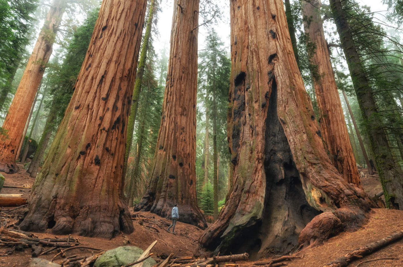 The 20 Most Beautiful Places To Go Camping In California