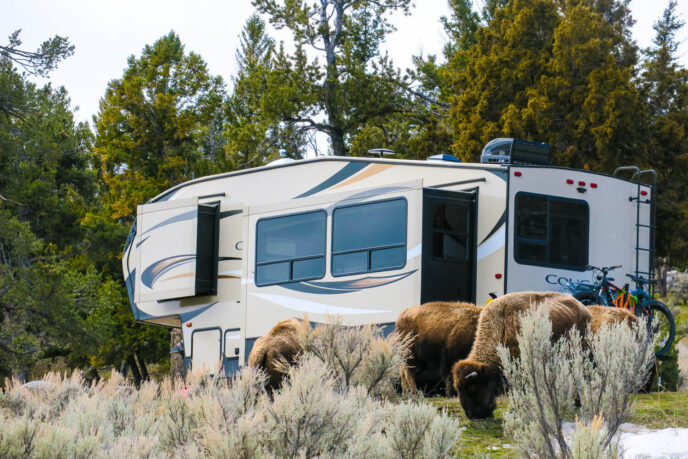 Yellowstone Camping: Best Campgrounds & Insider Tips