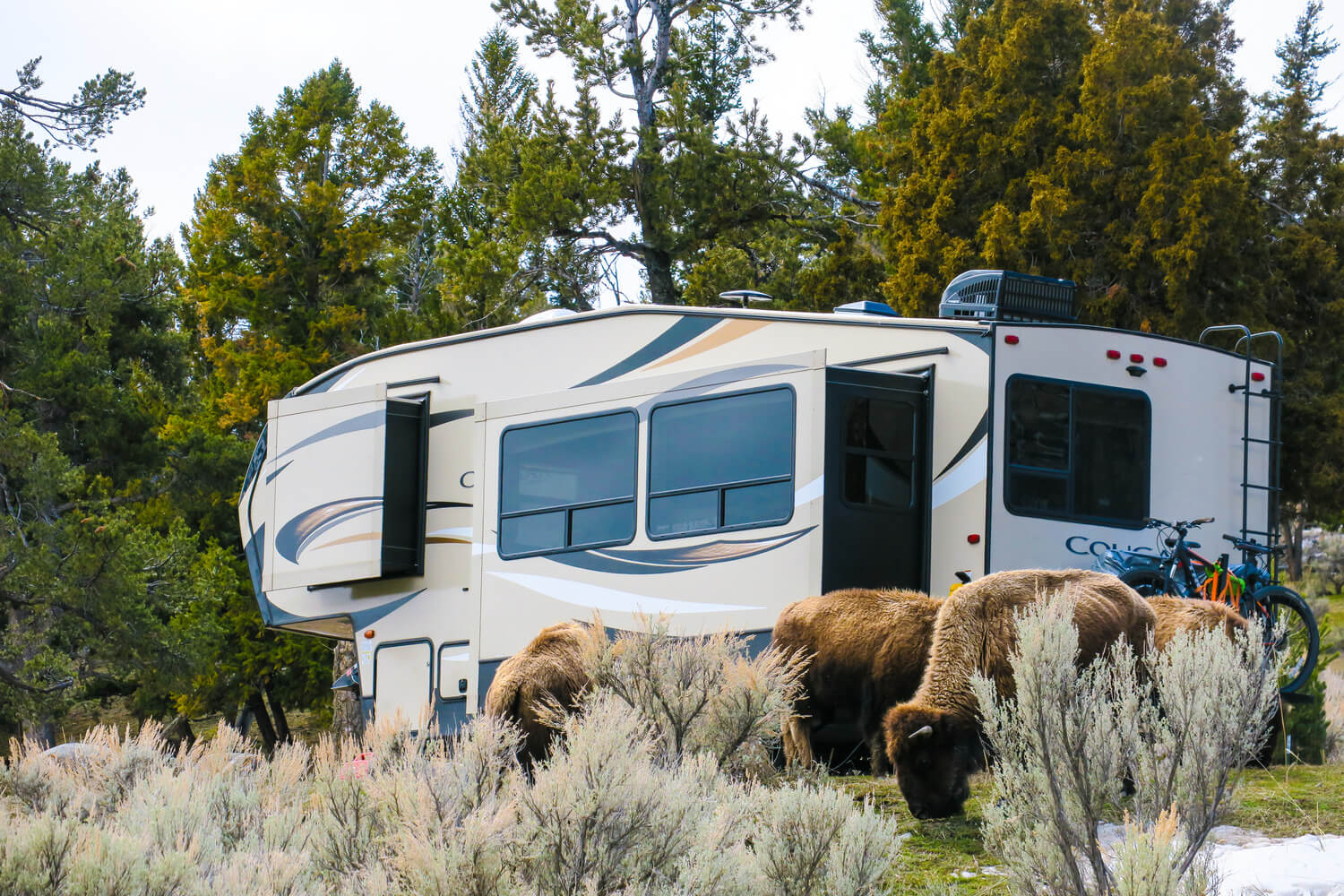 Yellowstone Camping: Best Campgrounds & Insider Tips