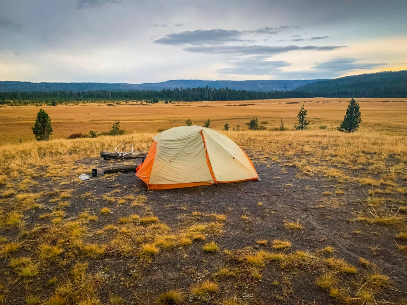 Yellowstone Camping: Best Campgrounds & Insider Tips