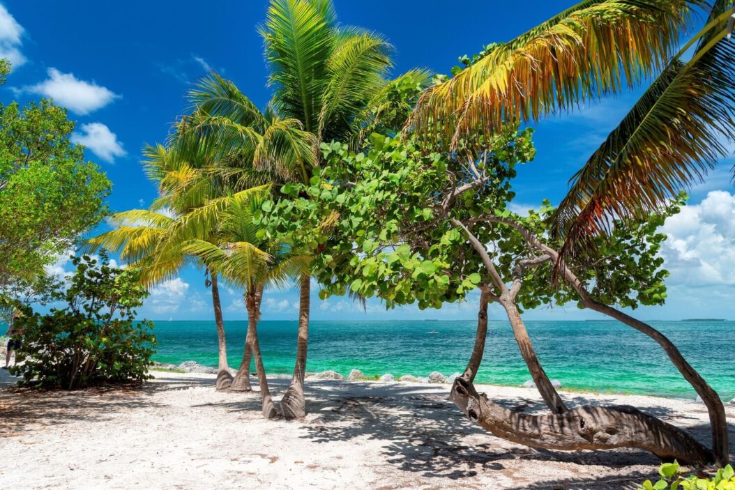 The 11 Most Beautiful Places To Go Camping In Florida